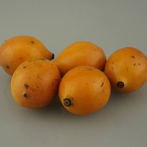 ACHACHA – Hortiforum